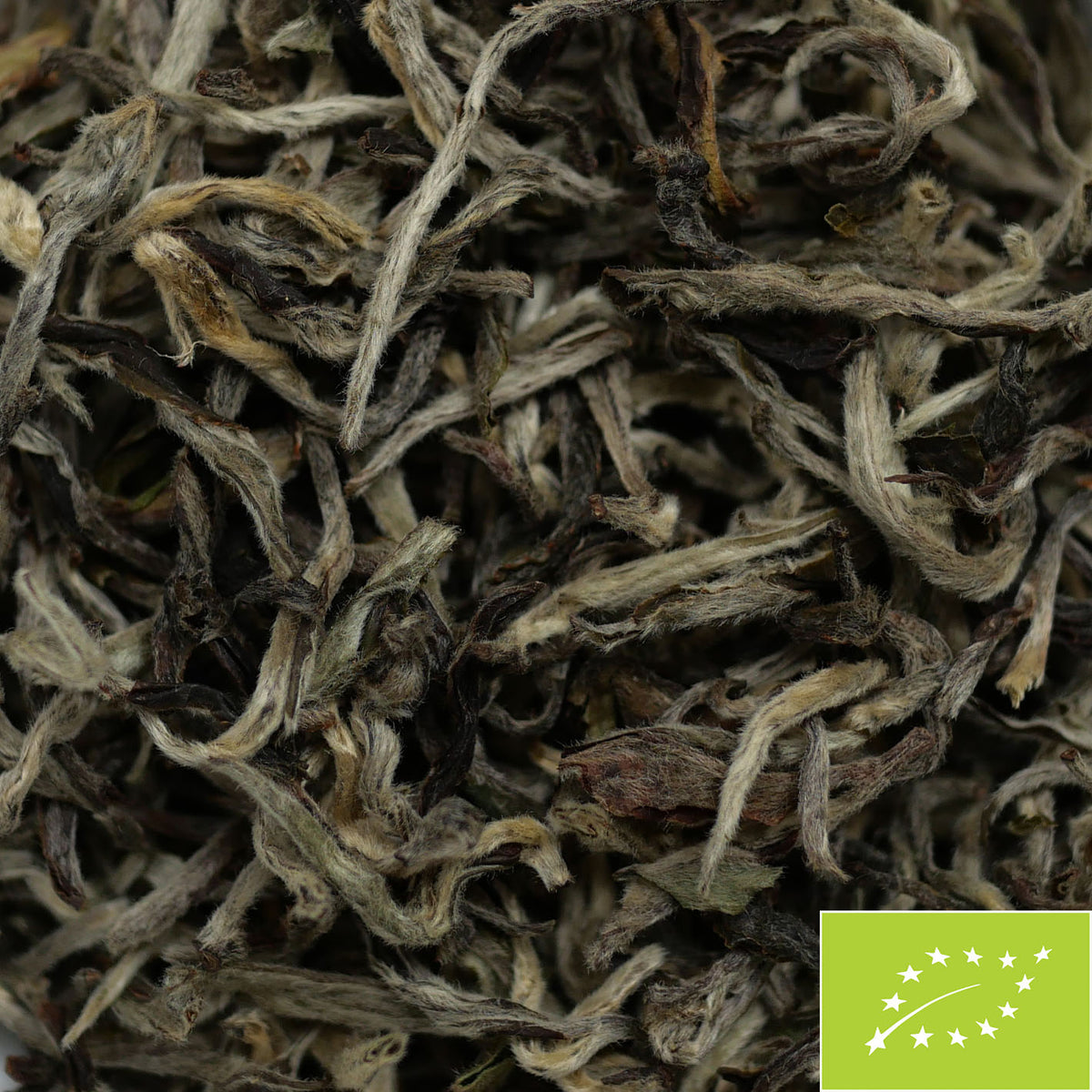 Panitar Ilam - Organic Grand Cru White Tea from Nepal – un air de thé
